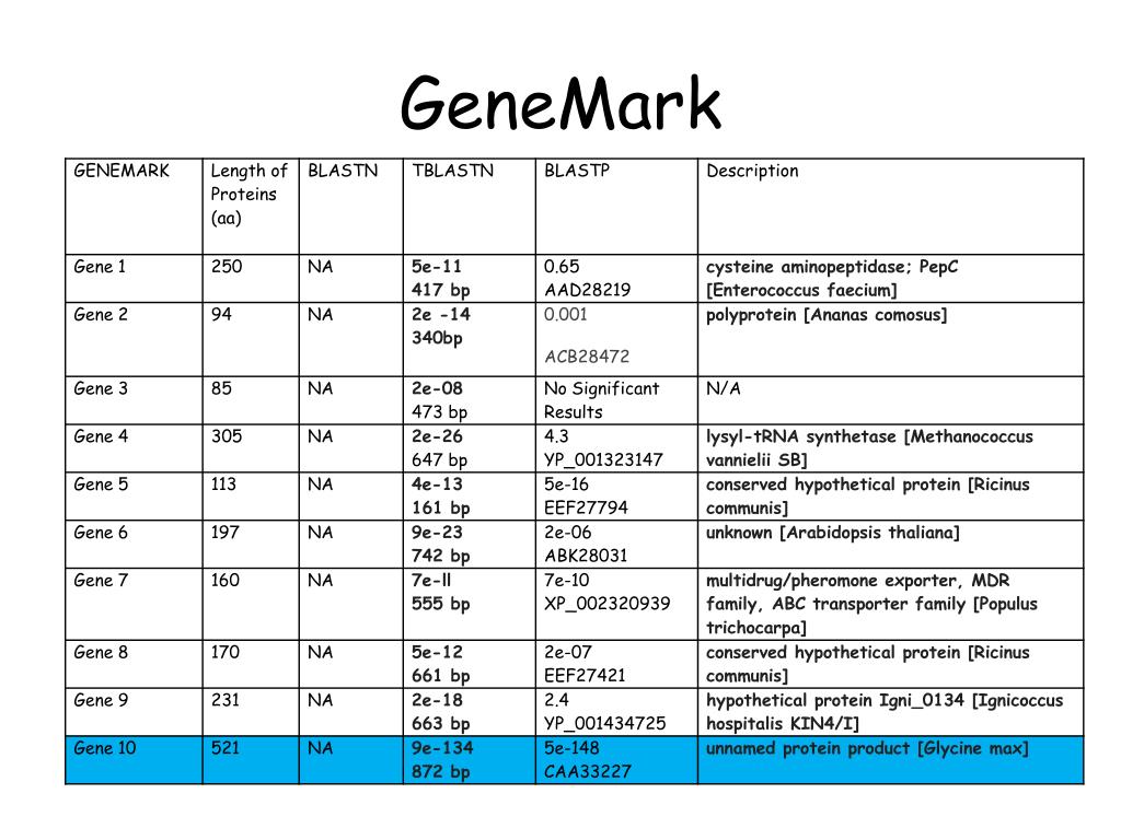 PPT - The Scarlet Runner Bean Genome: Contig 230613 PowerPoint ...