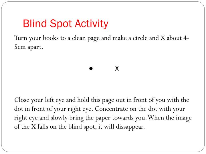 PPT - Communication Topic 3: The Human Eye PowerPoint Presentation - ID ...