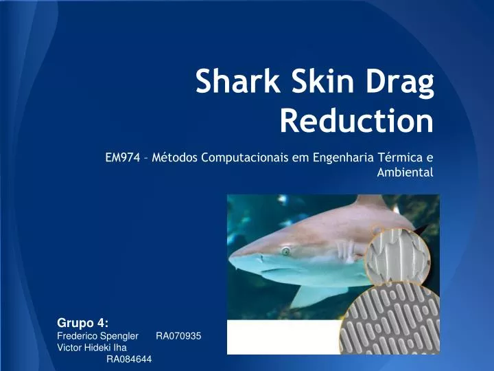 PPT - Shark Skin Drag Reduction PowerPoint Presentation, free download ...