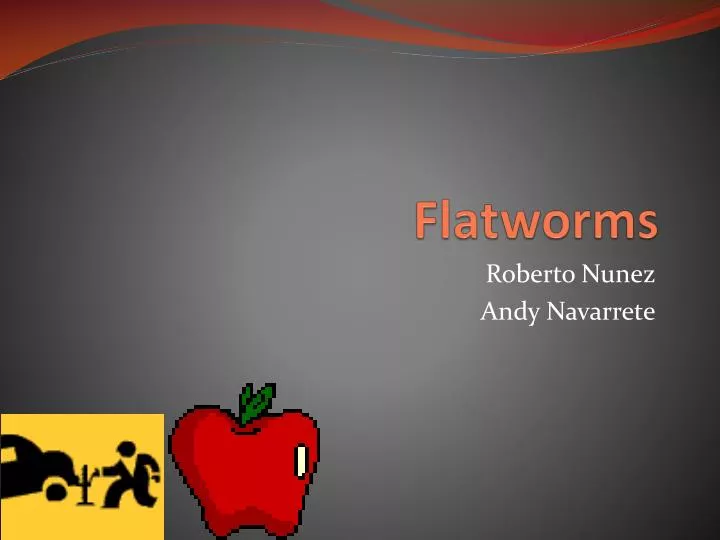PPT - Flatworms PowerPoint Presentation, free download - ID:1867359