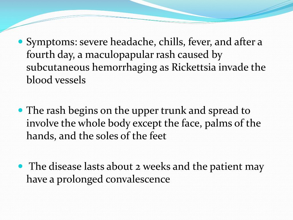 PPT - Rickettsial (Spotted & Typhus Fevers) & Related Infections ...