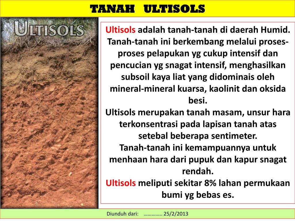 PPT - BAHAN KAJIAN MK. DASAR ILMU TANAH TANAH ULTISOL PowerPoint ...