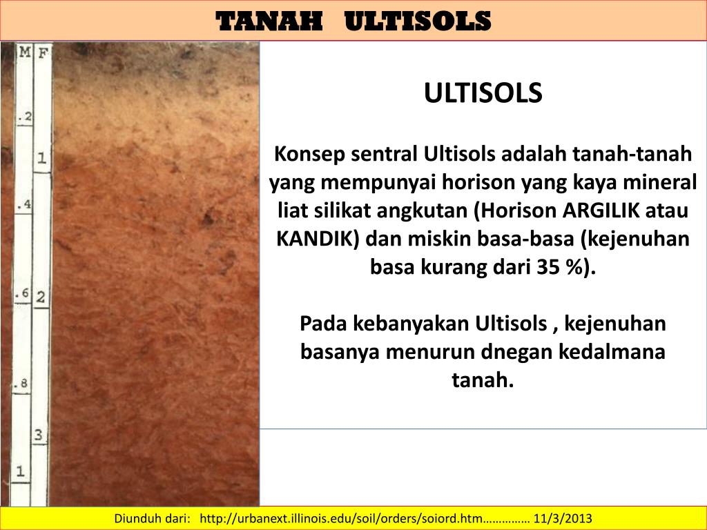 PPT - BAHAN KAJIAN MK. DASAR ILMU TANAH TANAH ULTISOL PowerPoint ...
