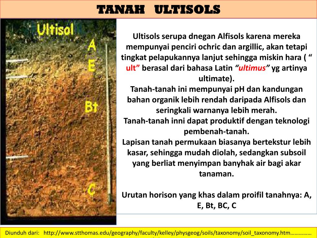 PPT - BAHAN KAJIAN MK. DASAR ILMU TANAH TANAH ULTISOL PowerPoint ...