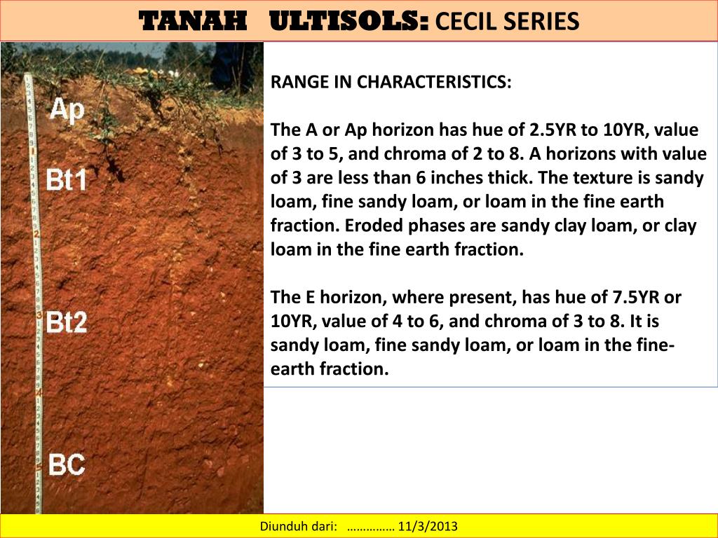 PPT - BAHAN KAJIAN MK. DASAR ILMU TANAH TANAH ULTISOL PowerPoint ...