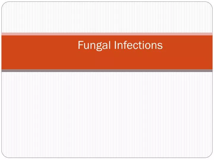 PPT - Fungal Infections PowerPoint Presentation, free download - ID:1867581