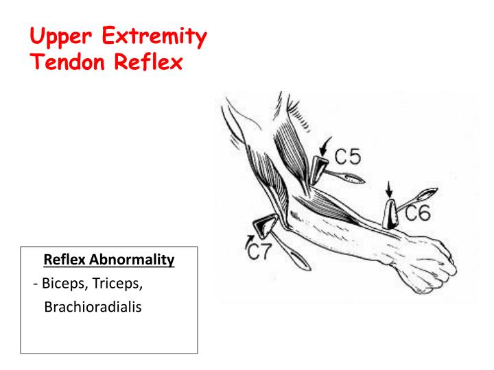 PPT - Physical Examination in Occupational Medicine PowerPoint ...