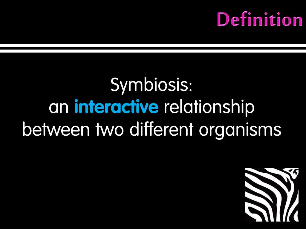 PPT - Symbiosis PowerPoint Presentation, free download - ID:1867800