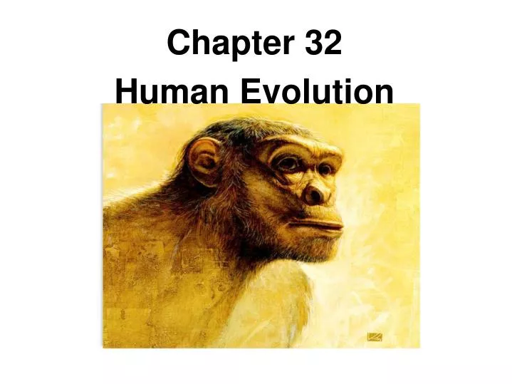 Ppt Chapter 32 Human Evolution Powerpoint Presentation Free Download