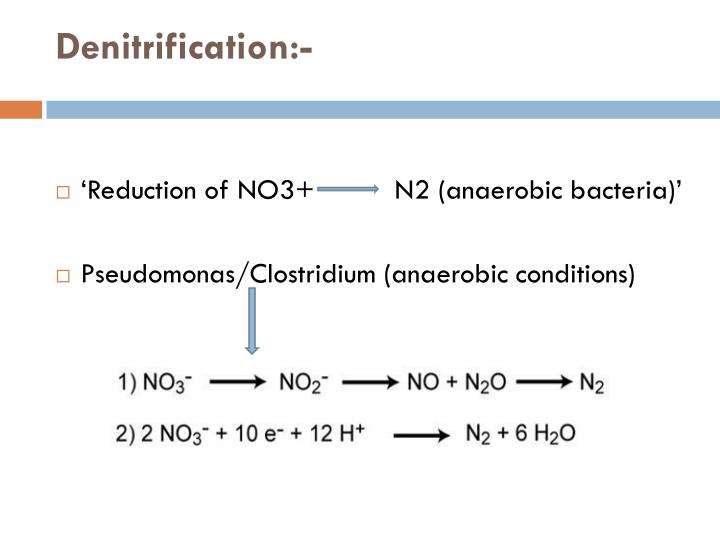 PPT - NITROGEN FIXATION PowerPoint Presentation - ID:1867923