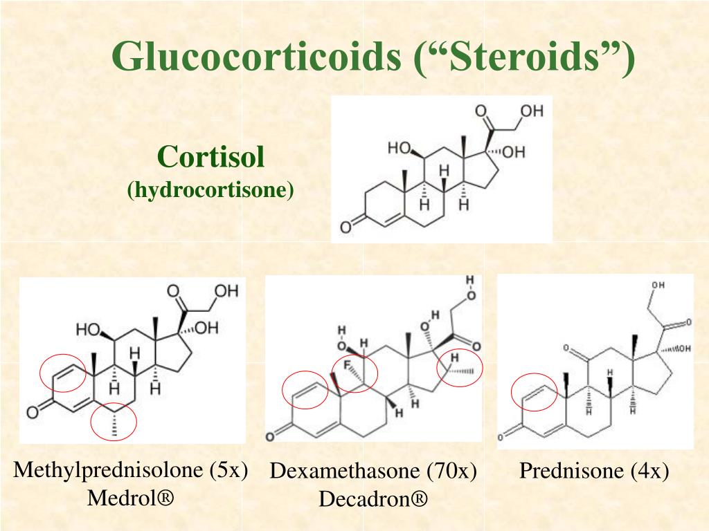 PPT - The Hormonal Treatment of Rheumatic Diseases PowerPoint ...