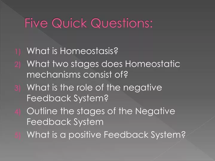 PPT - Five Quick Questions: PowerPoint Presentation, free download - ID ...