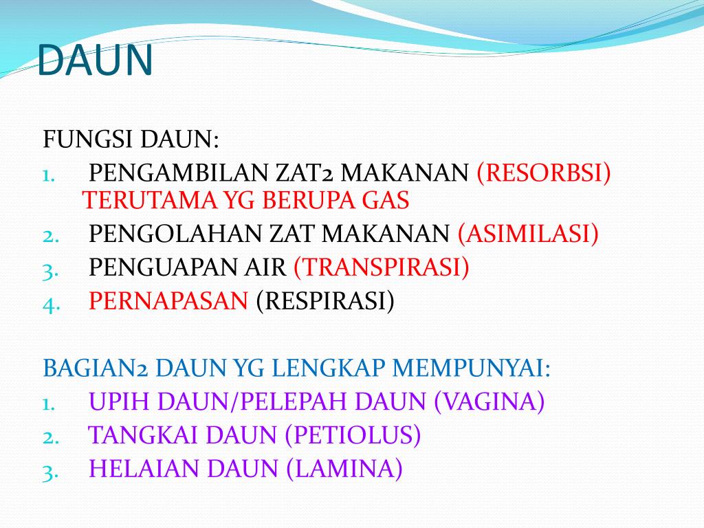 PPT - BOTANI UMUM Dosen : Ir. Dian Meliantari,MM Kuliah : 1-2 ...