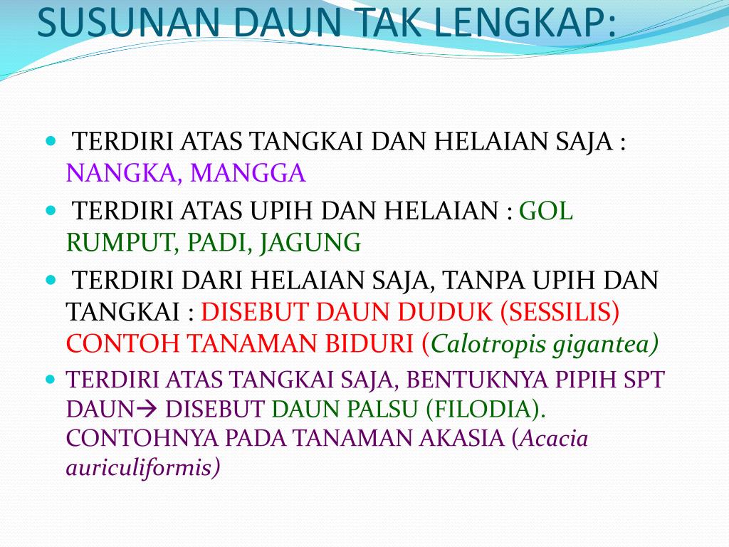 PPT - BOTANI UMUM Dosen : Ir. Dian Meliantari,MM Kuliah : 1-2 ...