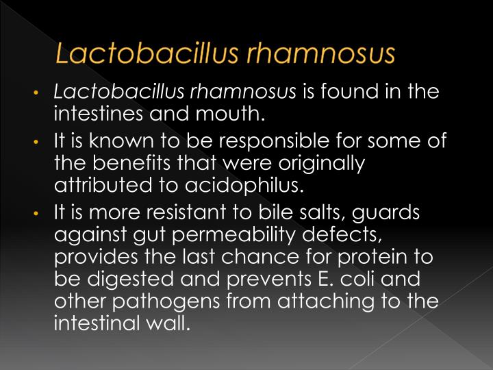 PPT - Healthy Bacteria PowerPoint Presentation - ID:1868209