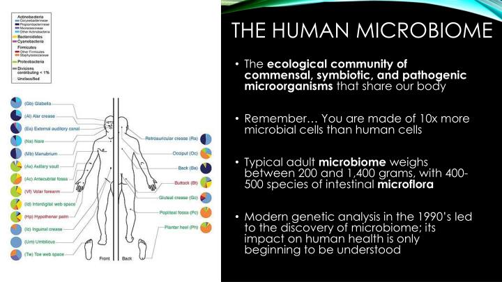 PPT - Microbial Systems: The human microbiome and Probiotics PowerPoint ...