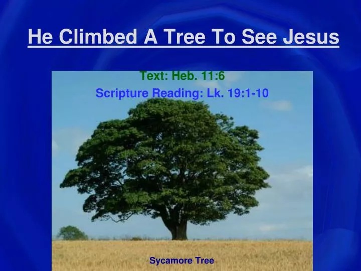 PPT - He Climbed A Tree To See Jesus PowerPoint Presentation, free ...