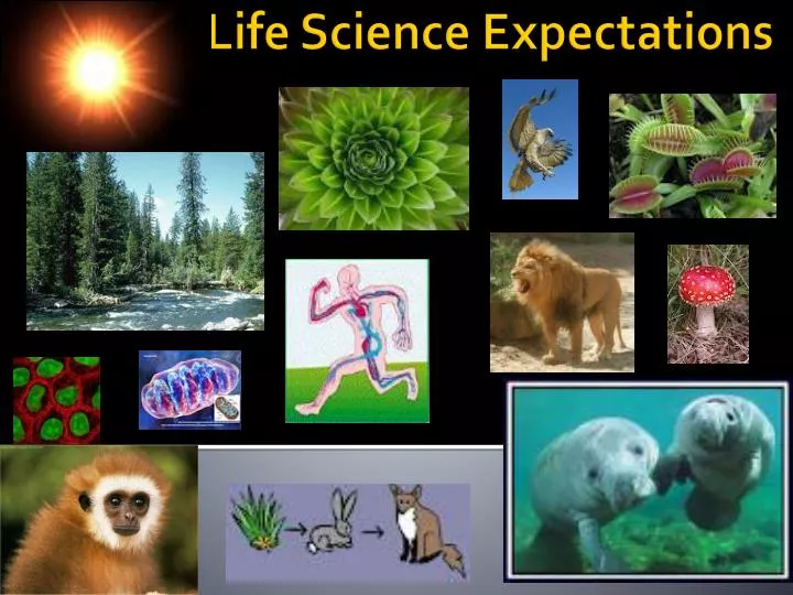 PPT - Life Science Expectations PowerPoint Presentation, free download ...