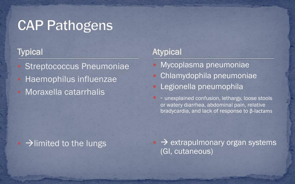 PPT - Community-acquired Pneumonia (CAP) in Immunocompetent Adults 2010 ...