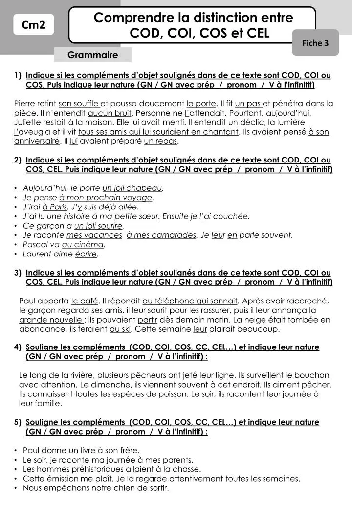 PPT - Comprendre la distinction entre COD, COI, COS et CEL PowerPoint ...