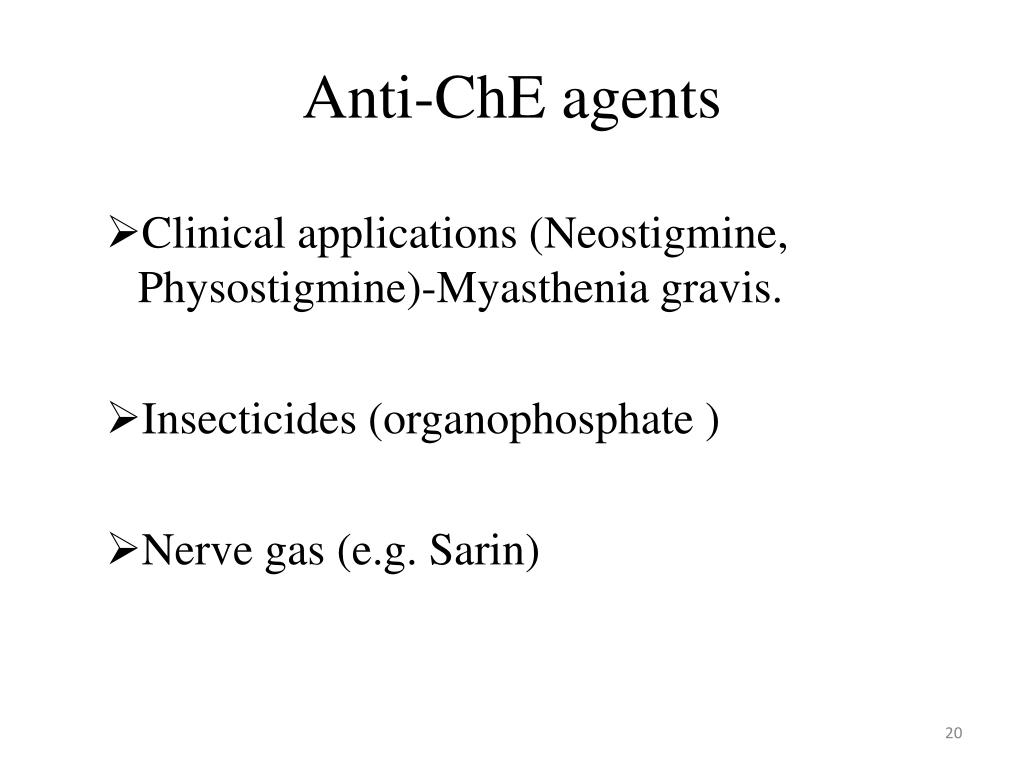 PPT - WINDSOR UNIVERSITY SCHOOL OF MEDICINE PowerPoint Presentation ...