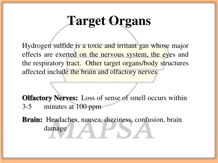 Target Organs Definition – Target Organ Toxicity – KKSURC