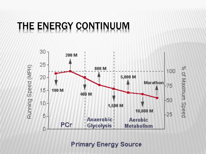 PPT - The Cardiorespiratory System PowerPoint Presentation - ID:1871383