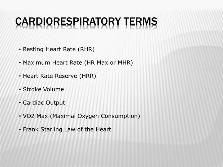 PPT - The Cardiorespiratory System PowerPoint Presentation - ID:1871383