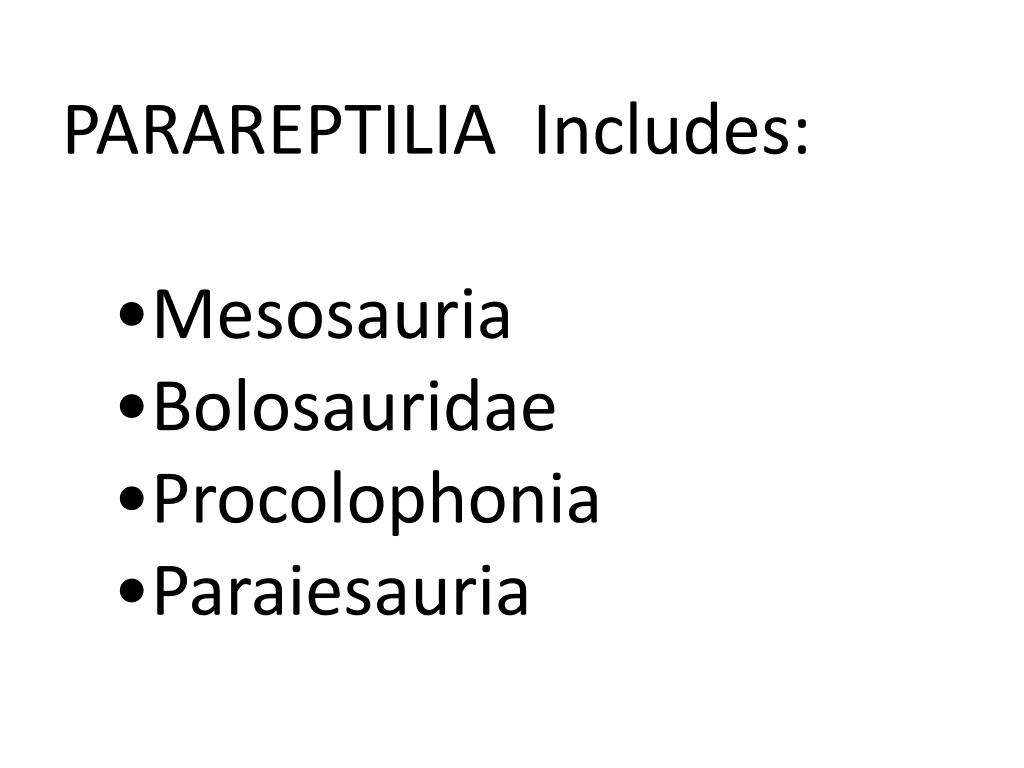 PPT - Stuart S. Sumida Biology 342 Phylogeny of Basal Amniota ...