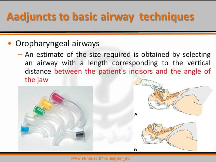 PPT - Based on: European Resuscitation Council Guidelines for ...