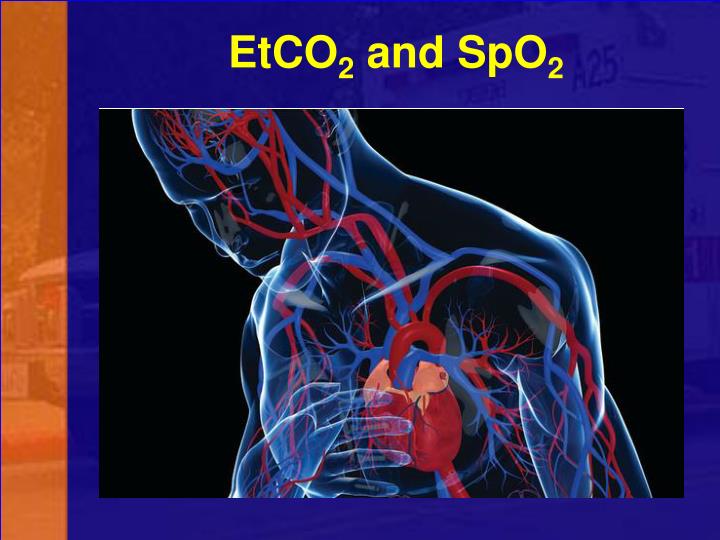 PPT - Post Resuscitation Care PowerPoint Presentation - ID:1871710