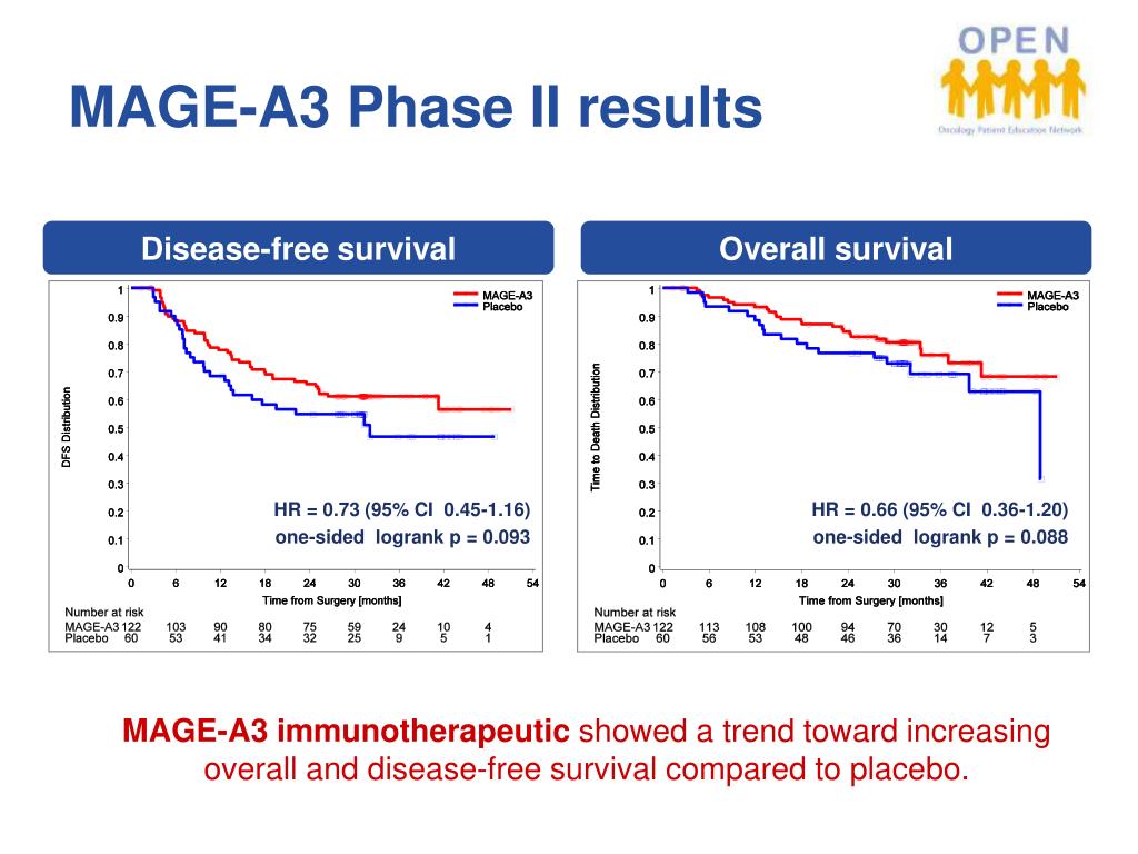 PPT - New therapeutic approaches in lung cancer PowerPoint Presentation ...