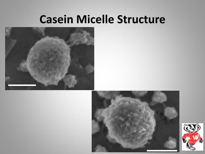 PPT - Milk Protein, Colostrum , Lactose, Minerals and MUN PowerPoint ...