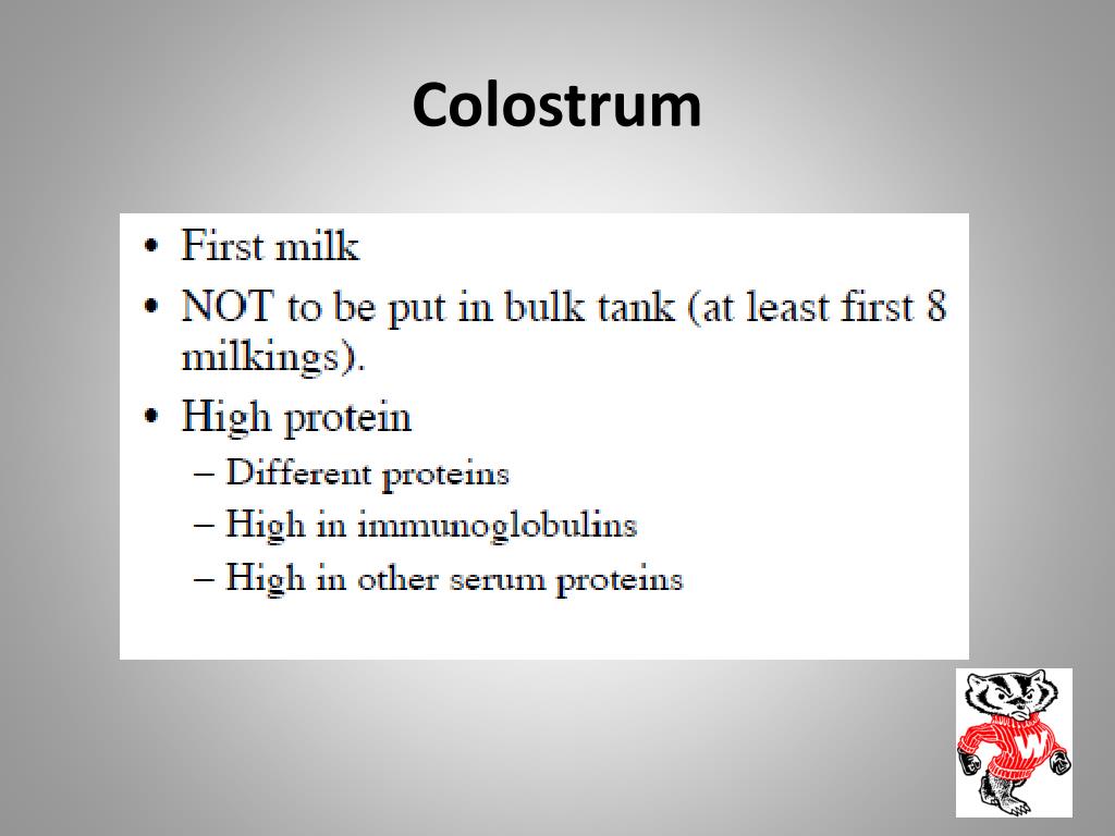 PPT - Milk Protein, Colostrum , Lactose, Minerals and MUN PowerPoint ...