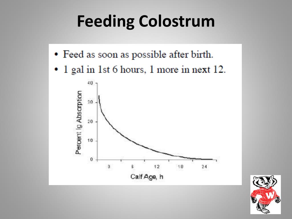 PPT - Milk Protein, Colostrum , Lactose, Minerals and MUN PowerPoint ...