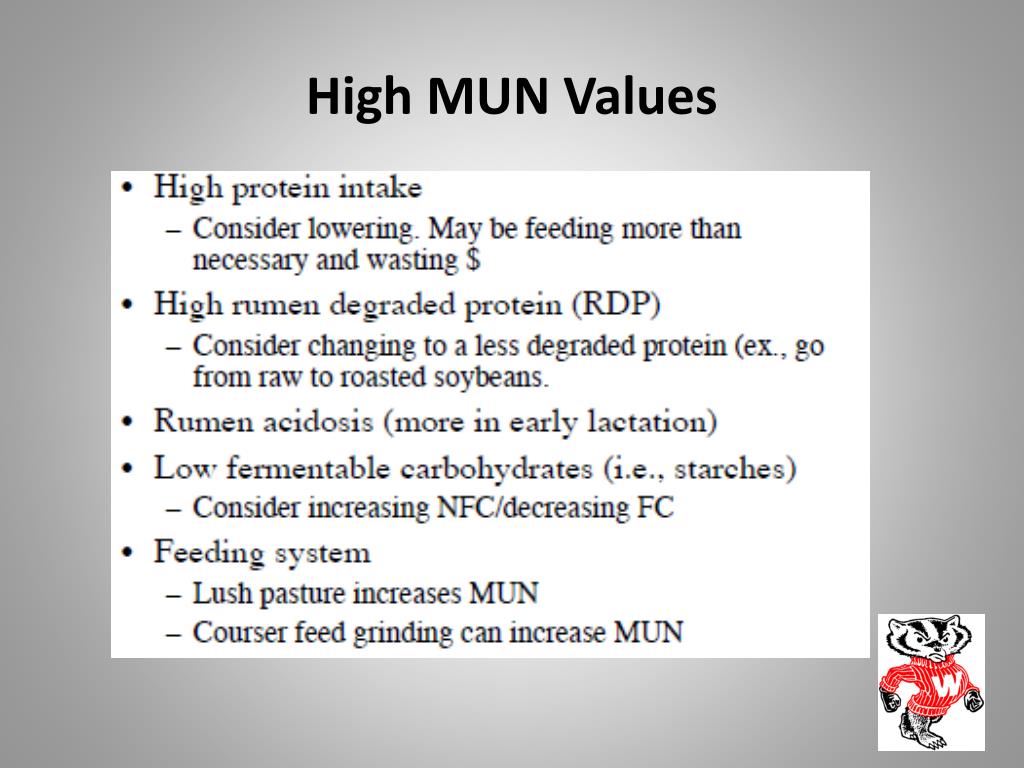 PPT - Milk Protein, Colostrum , Lactose, Minerals and MUN PowerPoint ...