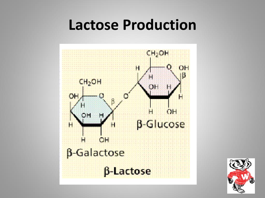 PPT - Milk Protein, Colostrum , Lactose, Minerals and MUN PowerPoint ...