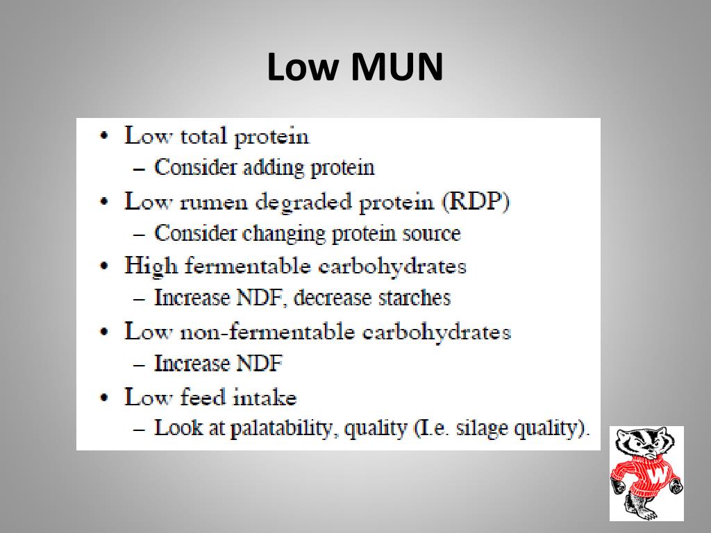 PPT - Milk Protein, Colostrum , Lactose, Minerals and MUN PowerPoint ...