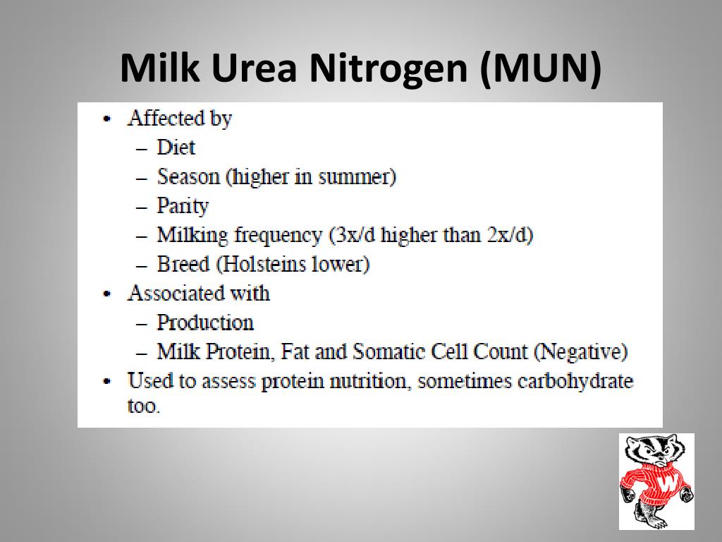 PPT - Milk Protein, Colostrum , Lactose, Minerals and MUN PowerPoint ...