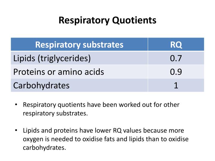 PPT - Anaerobic Respiration PowerPoint Presentation - ID:1872332