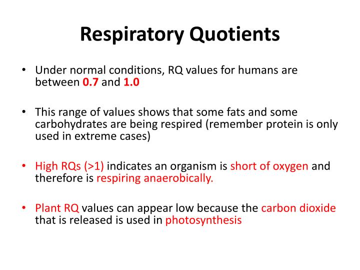 PPT - Anaerobic Respiration PowerPoint Presentation - ID:1872332
