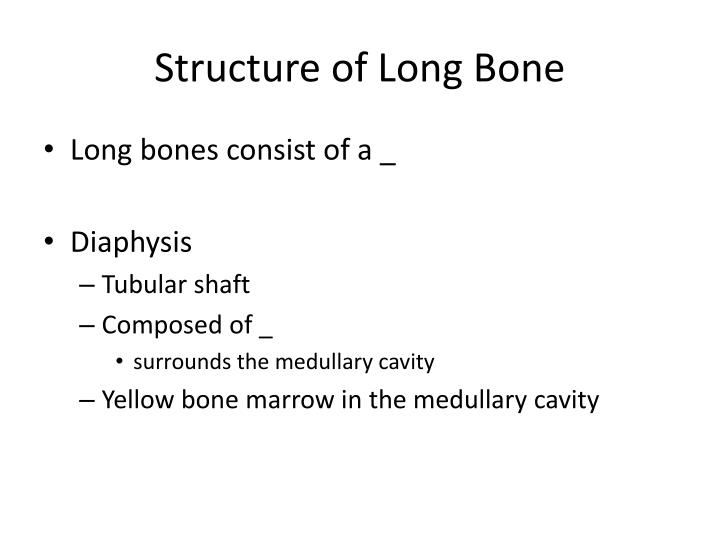 PPT - Function of Bones PowerPoint Presentation - ID:1872371