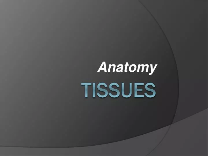 PPT - Tissues PowerPoint Presentation, free download - ID:1872434