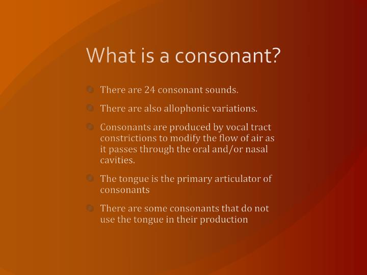 PPT - Consonant Transcription PowerPoint Presentation - ID:1872467