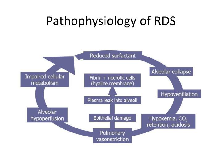 PPT - Pathophysiology PowerPoint Presentation - ID:1872533