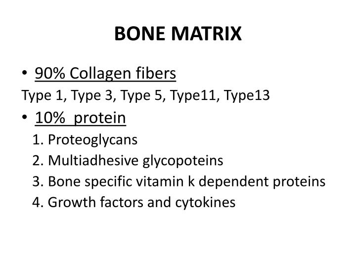 PPT - BONE PowerPoint Presentation - ID:1872550