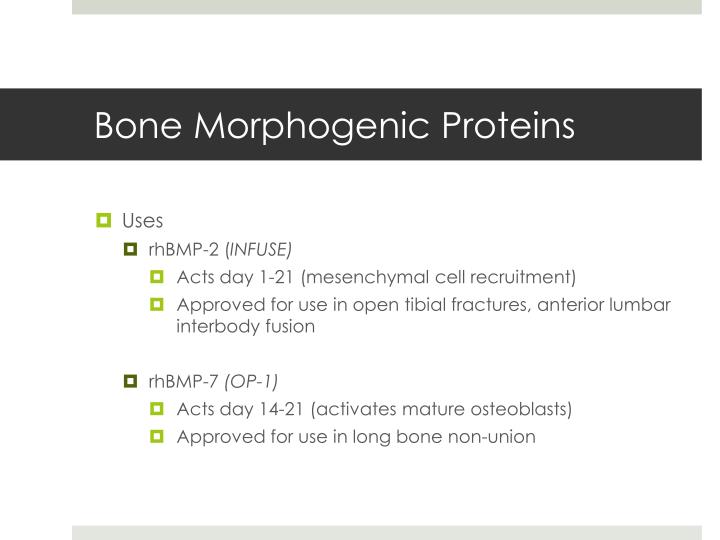 PPT - Bone Graft and Bone Graft Substitutes PowerPoint Presentation ...