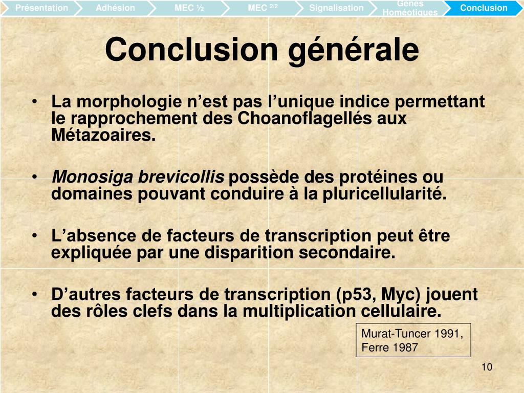 PPT - Le génome du Choanoflagellé , Monosiga brevicollis et l’origine ...