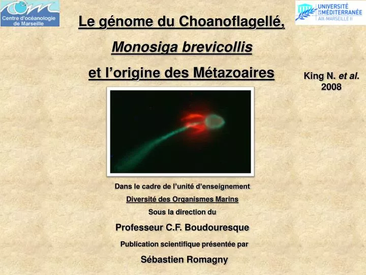 PPT - Le génome du Choanoflagellé , Monosiga brevicollis et l’origine ...