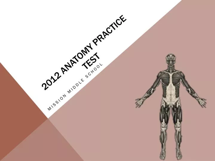 PPT - 2012 Anatomy practice test PowerPoint Presentation, free download ...